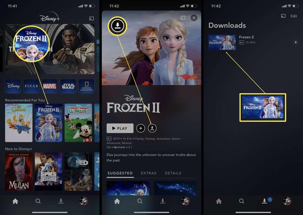 How to Download Shows on Disney Plus | Video Downloading and Video Converting Free Zone